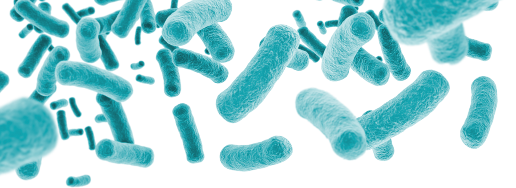Bacteriology - Alifax